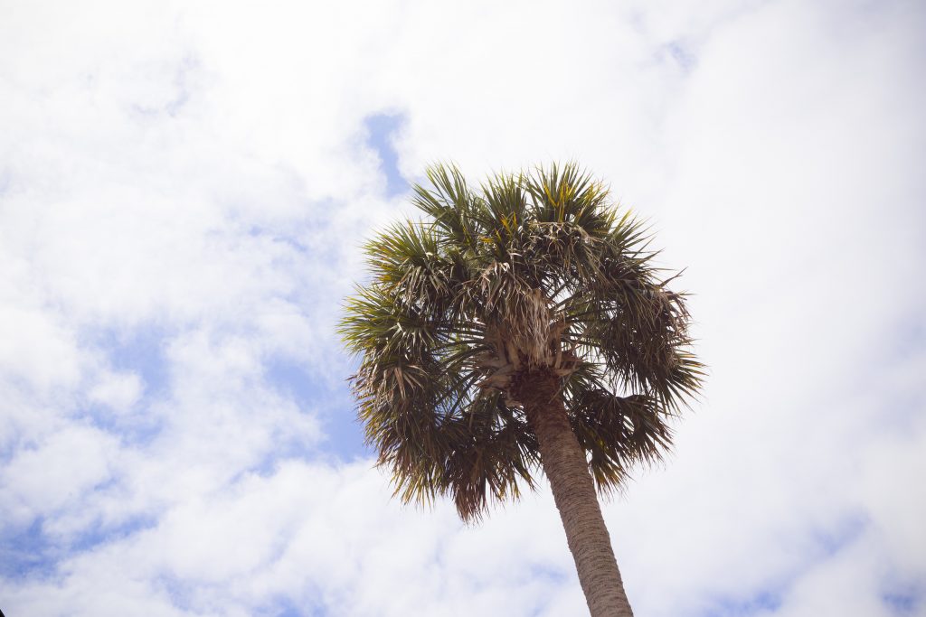 Palmetto Promise Institute