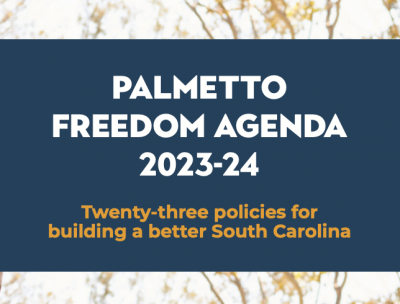 Palmetto Promise Institute